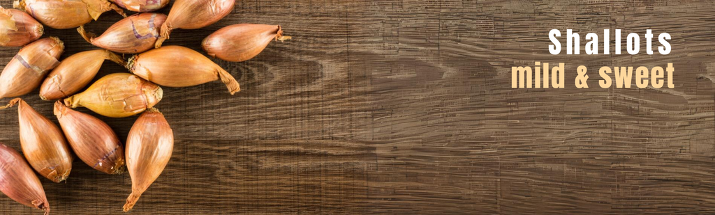 Dynamic Supply Vanuatu – Dynamic-Vanuatu-Retail