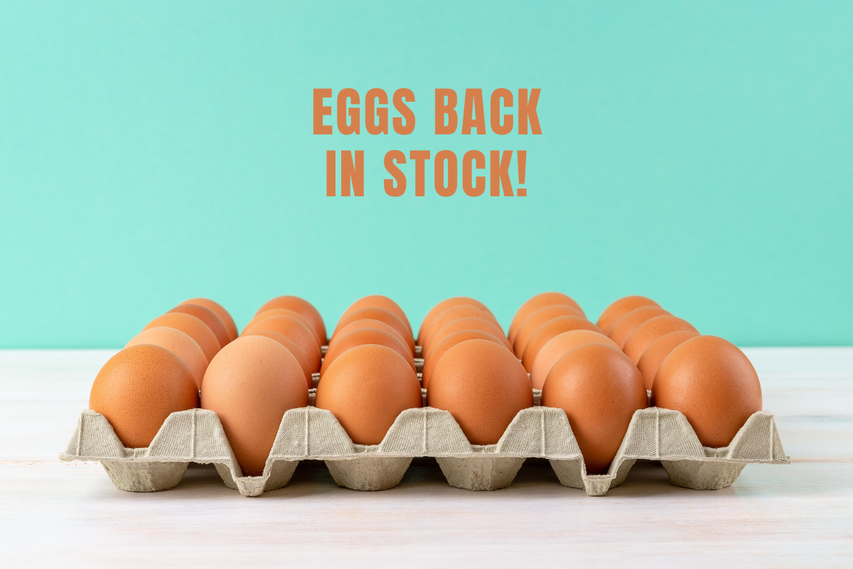 Dynamic Supply Vanuatu – Dynamic-Vanuatu-Retail