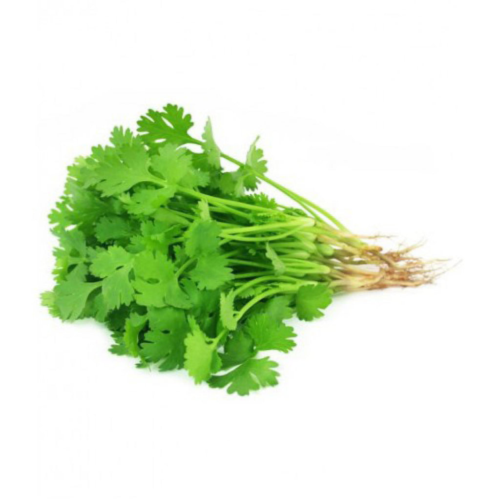 Teouma Valley Farms Coriander (Bunch 100g) – Dynamic-Vanuatu-Retail